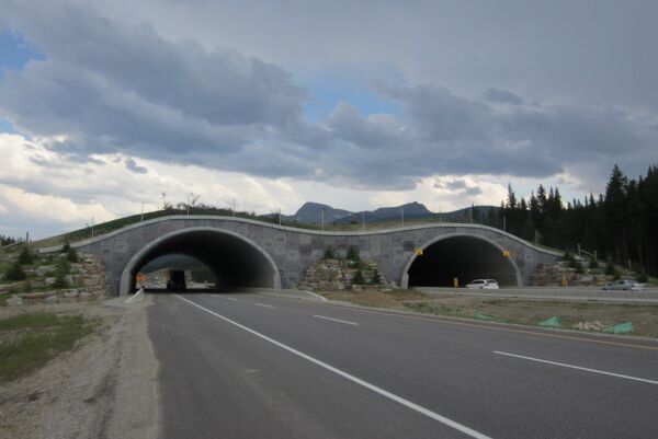 MSE Walls for Bridges | Bridge Abutments | Geoquest Canada